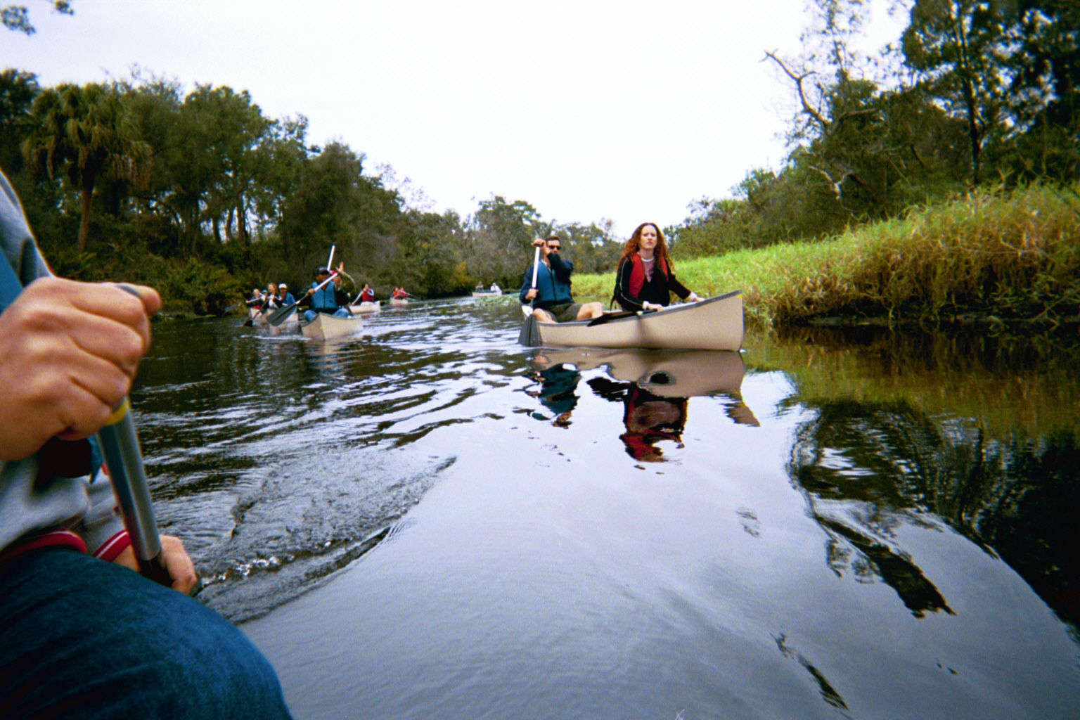 Camp Bayou Nature Notes: May 2012