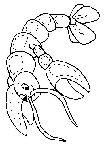 EDUCATIA CONTEAZA : RACI