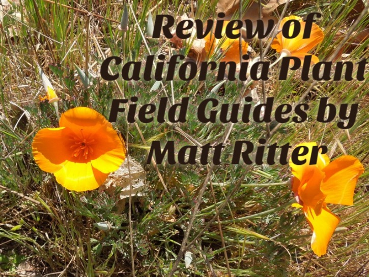 Review of California Plant Field Guides by Matt Ritter