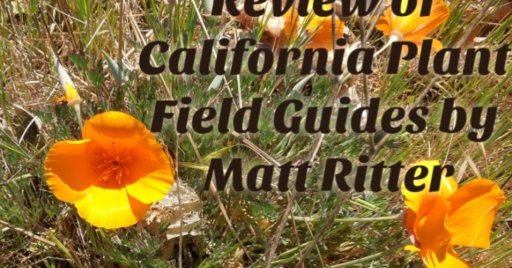 Review of California Plant Field Guides by Matt Ritter