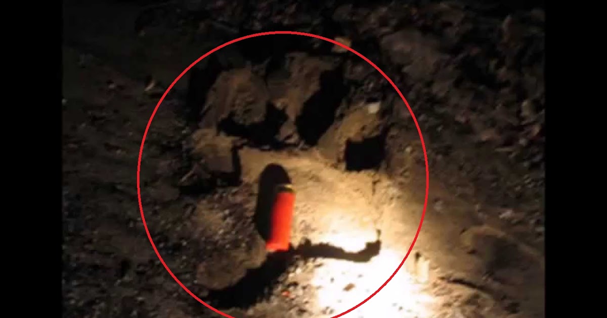 Dogman on the Highway: Real Encounter with a Dogman