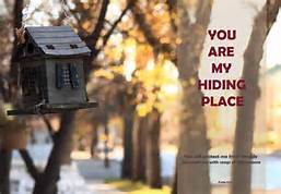 puricare chronicles: YOU ARE MY HIDING PLACE - You are my hiding place ...
