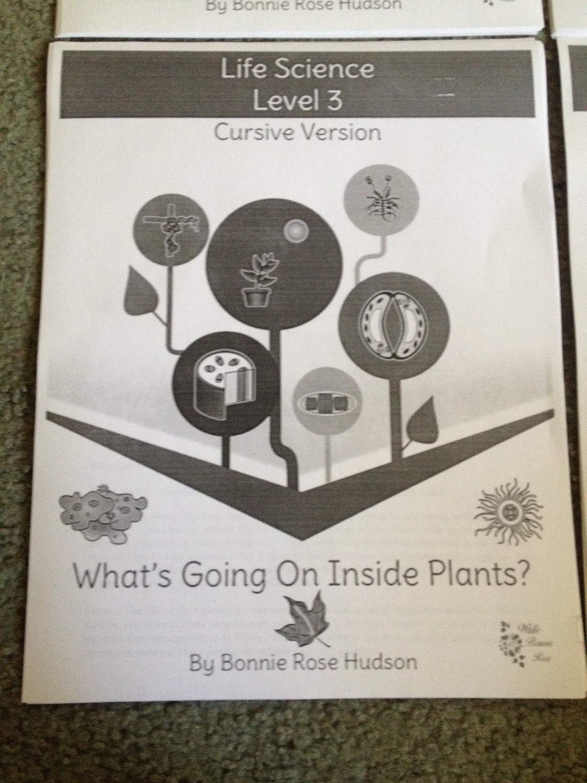 Puddle Jumping: Homeschool Review Crew - Learning About Science from ...