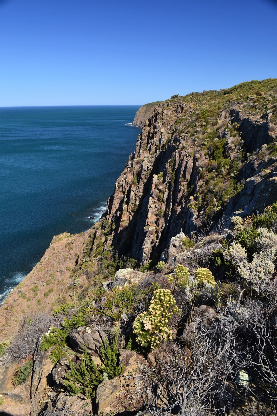 Goin' Feral One Day At A Time: Waitpinga Cliffs, Heysen Trail, Newland ...