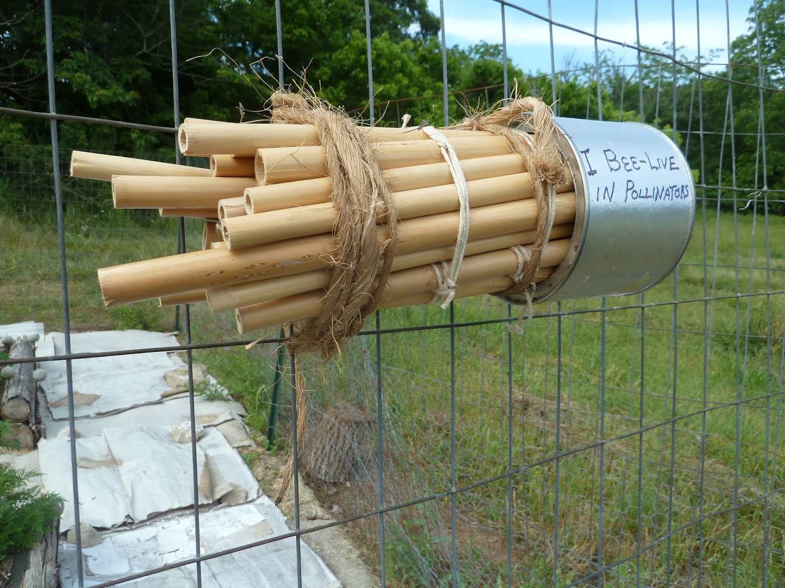 Springfield Plateau: Native Bee Houses