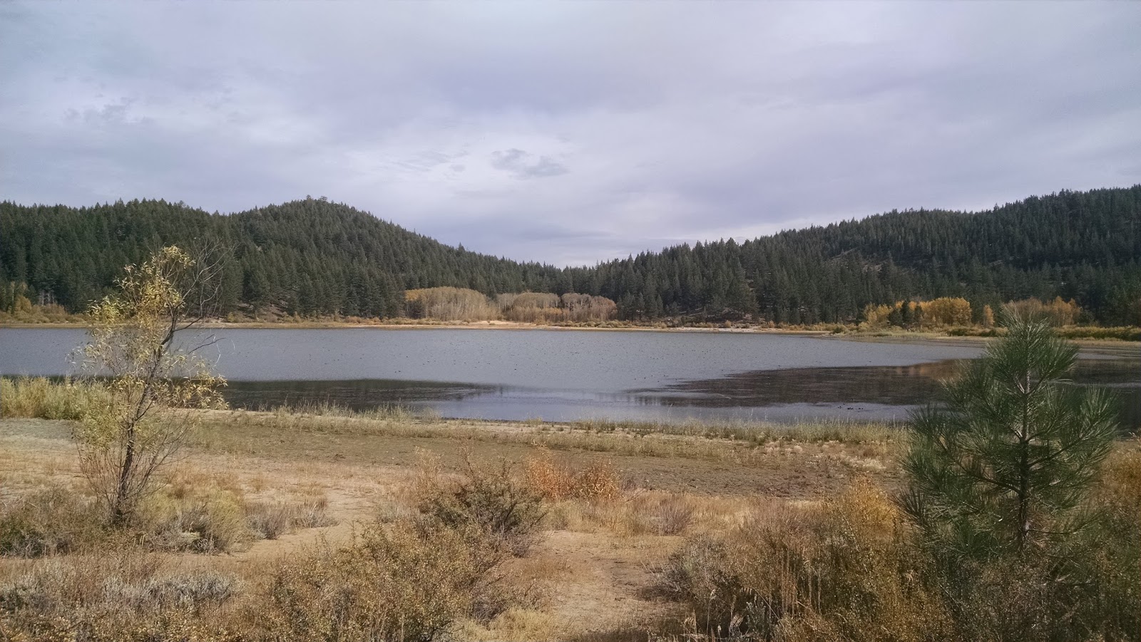 Running on Eddie: Spooner Lake - Lake Tahoe Nevada