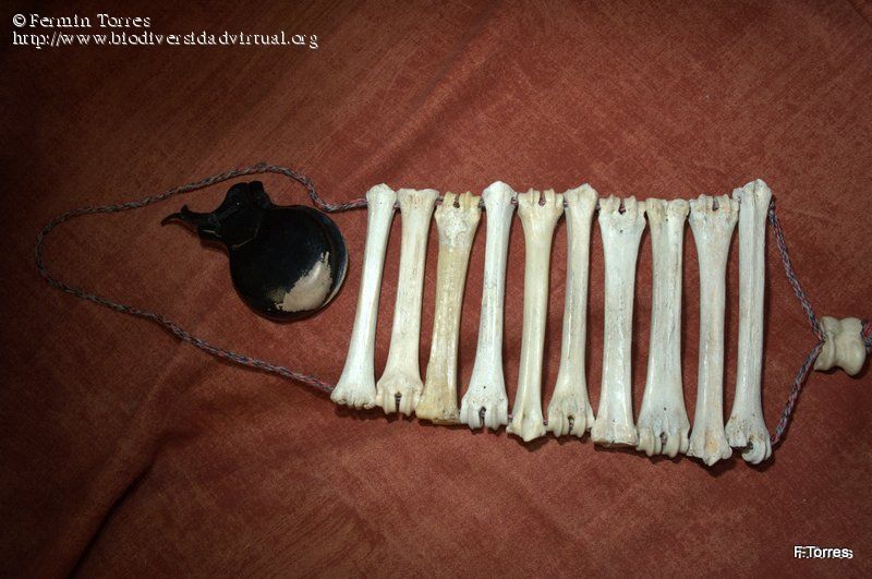 Dando la nota: Los instrumentos tradicionales en España