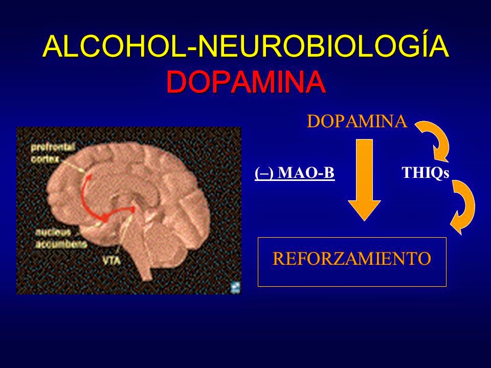 Gabinete de Psicología Andrés Sampayo Salgueiro: Alcohol y Sistema de ...
