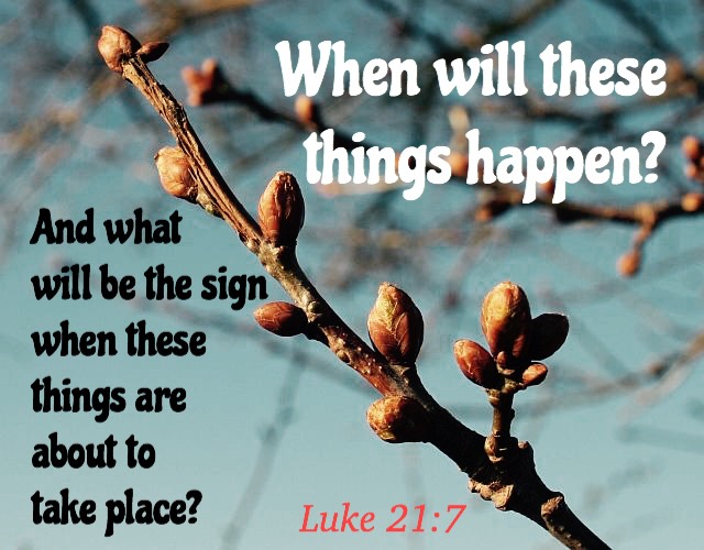 Look Up! {Luke 21} - Women in the Word