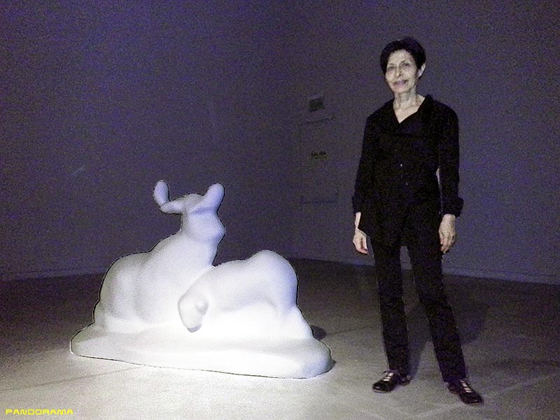 Pandorama: El Museo de Arte Moderno de Buenos Aires presenta la ...