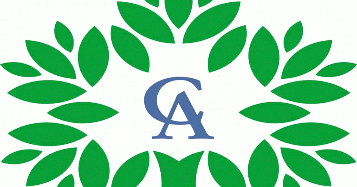 EL PATIO DE ARRAYANES