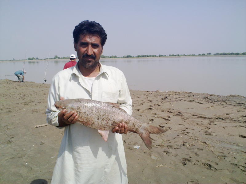 Fishing In Pakistan: Fishing in pakistan (Bhakkar Trip) 2010