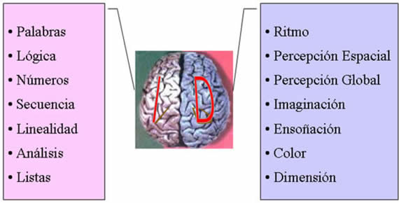 PERSONA Y SOCIEDAD II: LA LATERALIZACIÓN: ACTIVIDADES LÚDICAS QUE LA ...