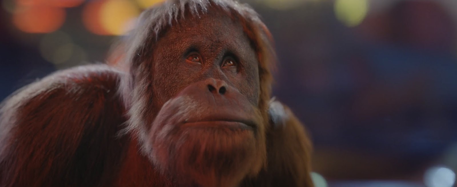 CGI Animals & Creatures Reel by The Mill | Computer Graphics Daily News