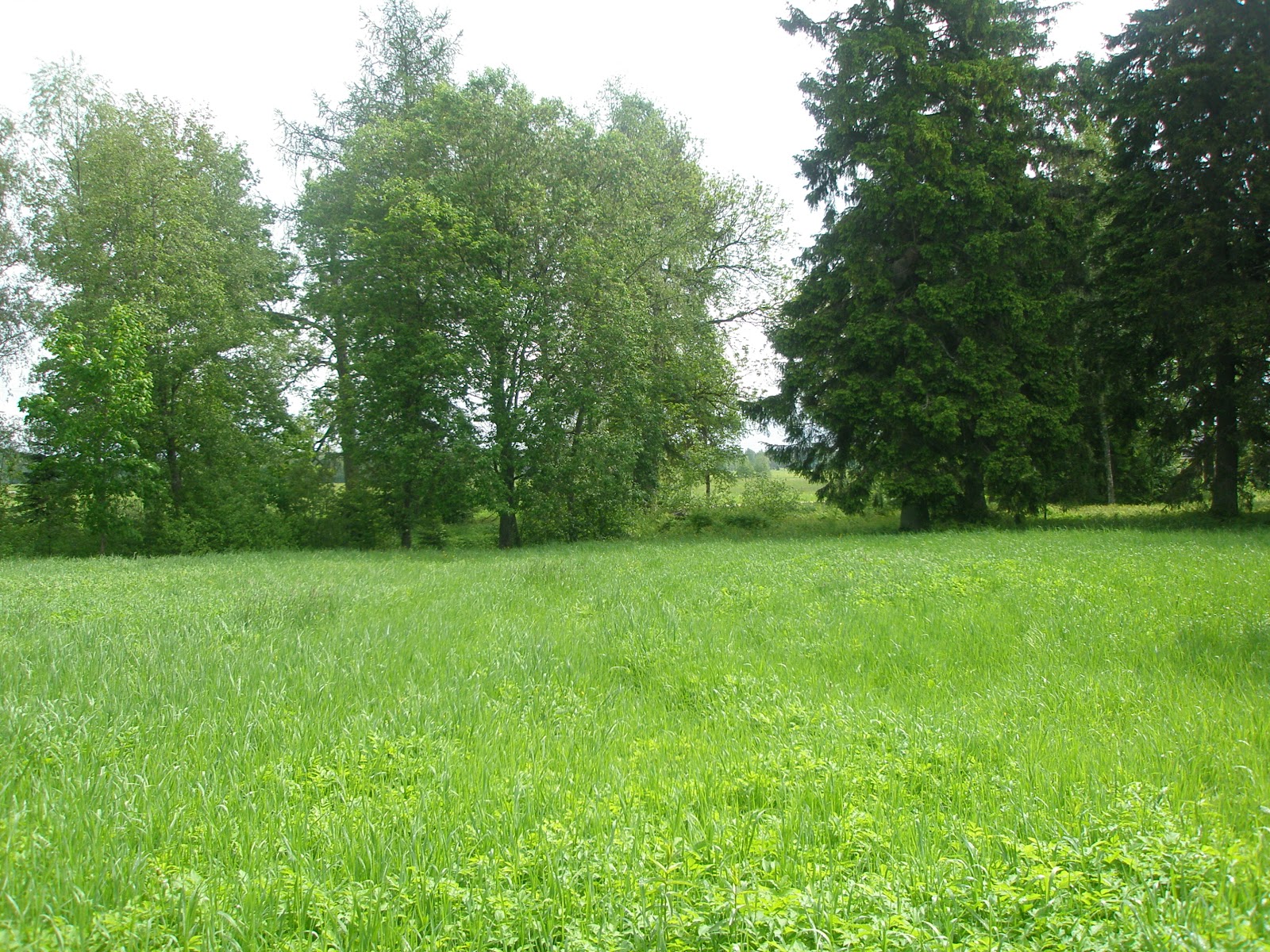 minu tegemised: Pildid