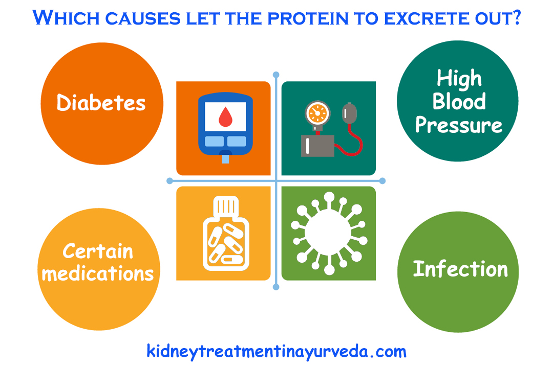 Is Ayurvedic Treatment for Proteinuria Works? - Ayurvedic Kidney ...