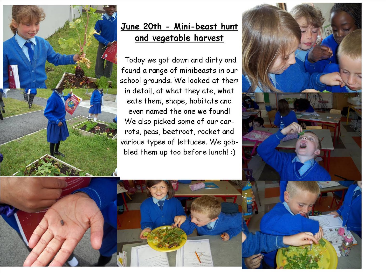 Science Projects: Mini-beast hunt and vegetable harvest