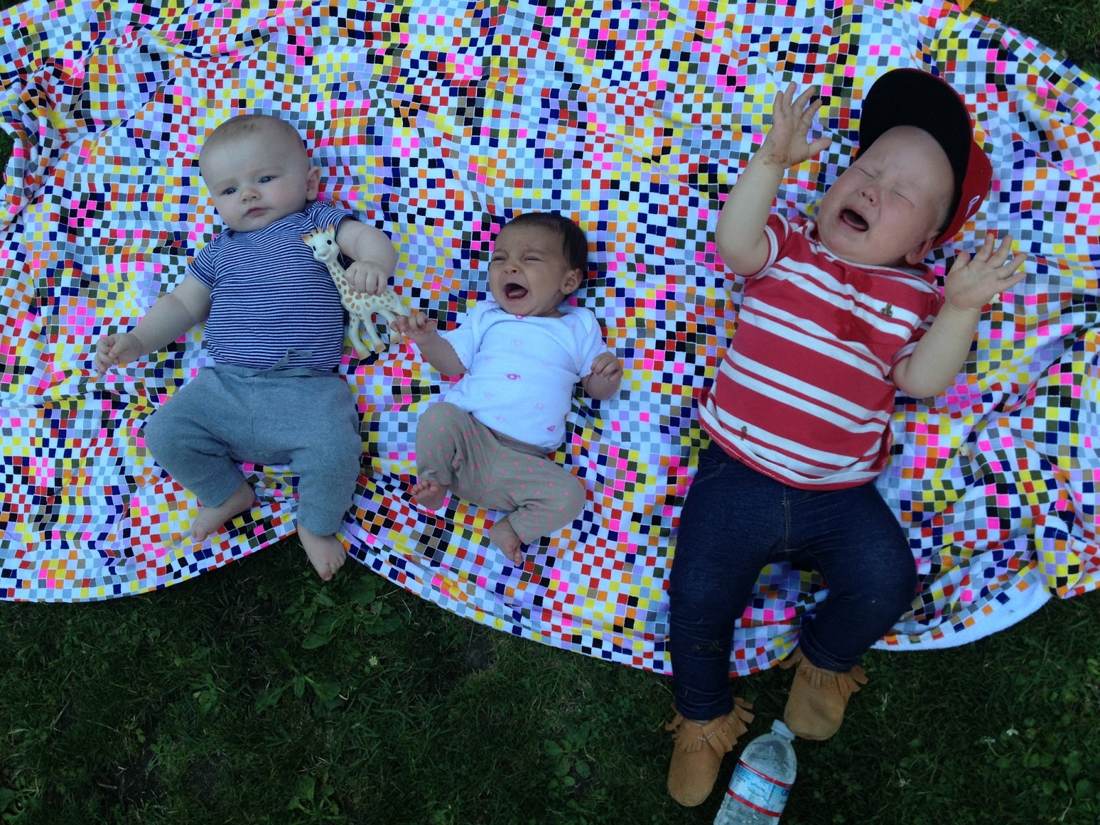 Stephen & Amanda: berkeley parks