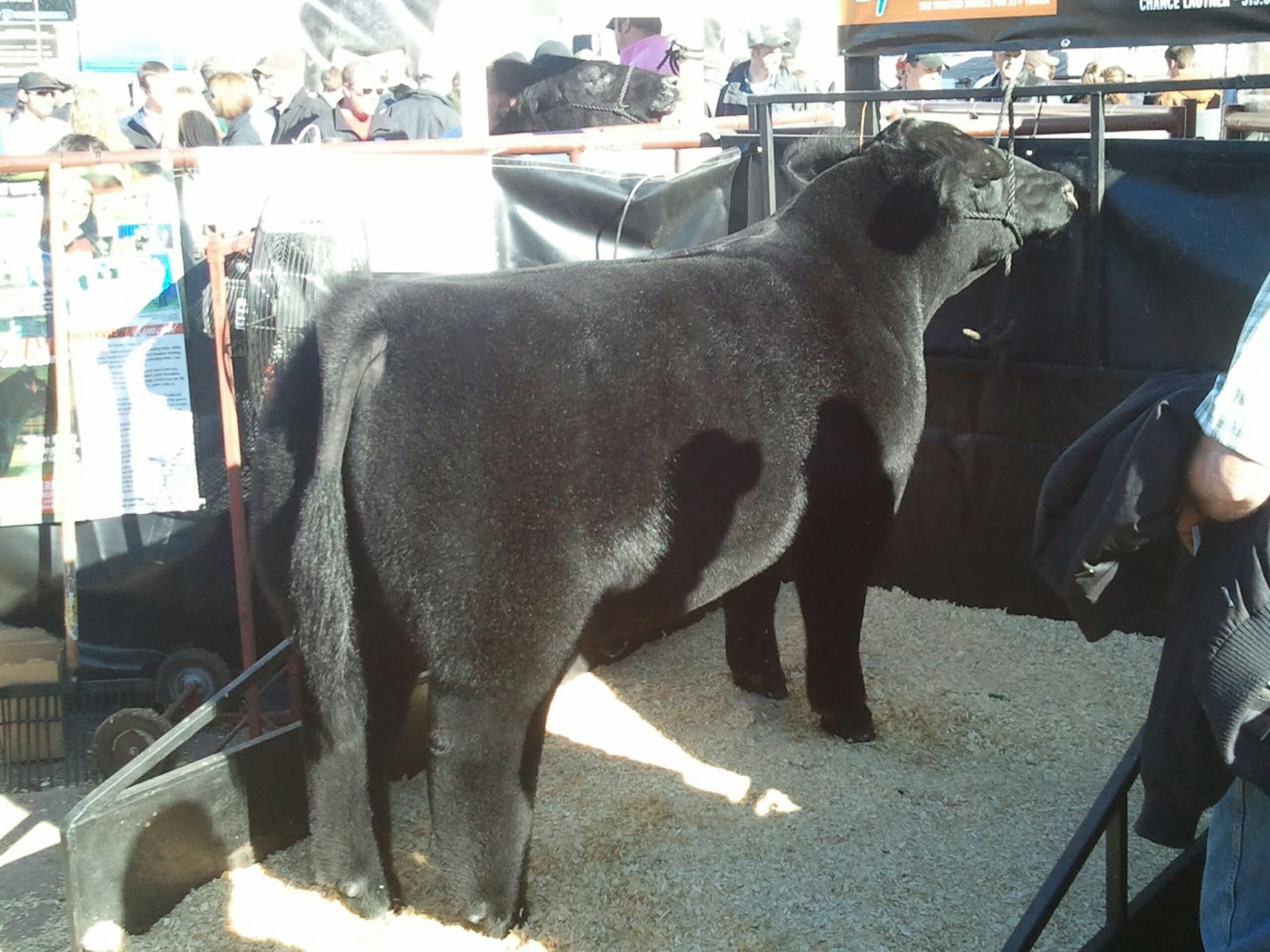 MITTAG Blog: Ready 2 Rumble