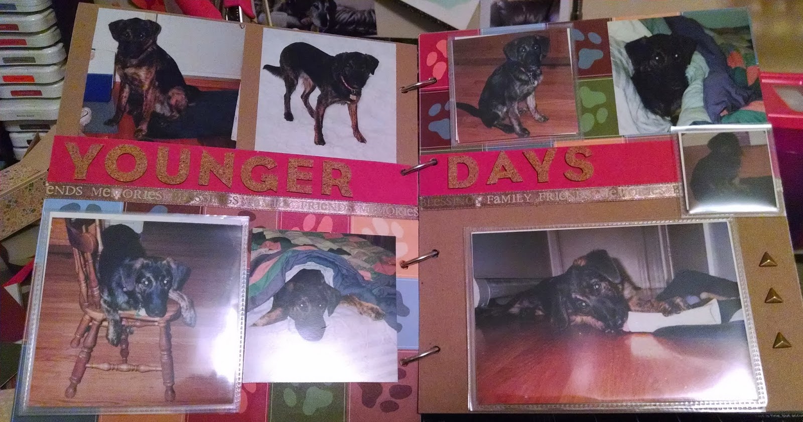 Sonya's Scrappy Things