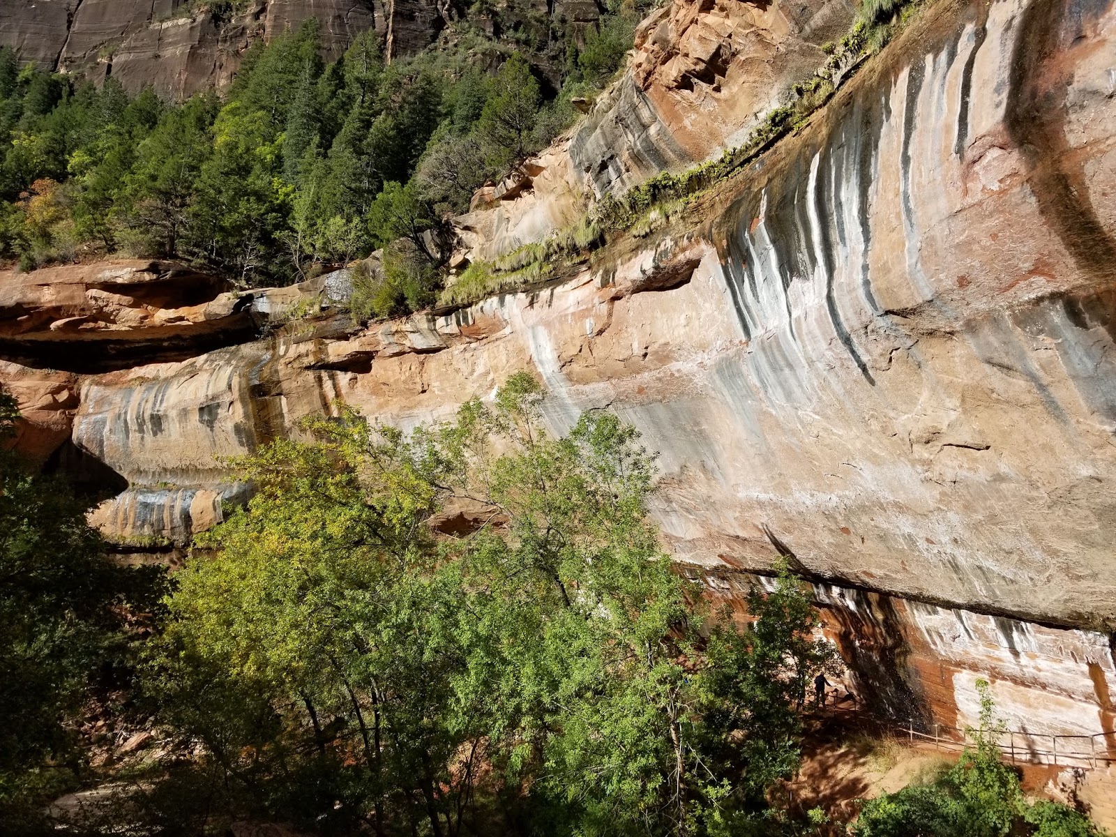 Wilderness Wanderings: Zion Emerald Pools & Kayenta Trail