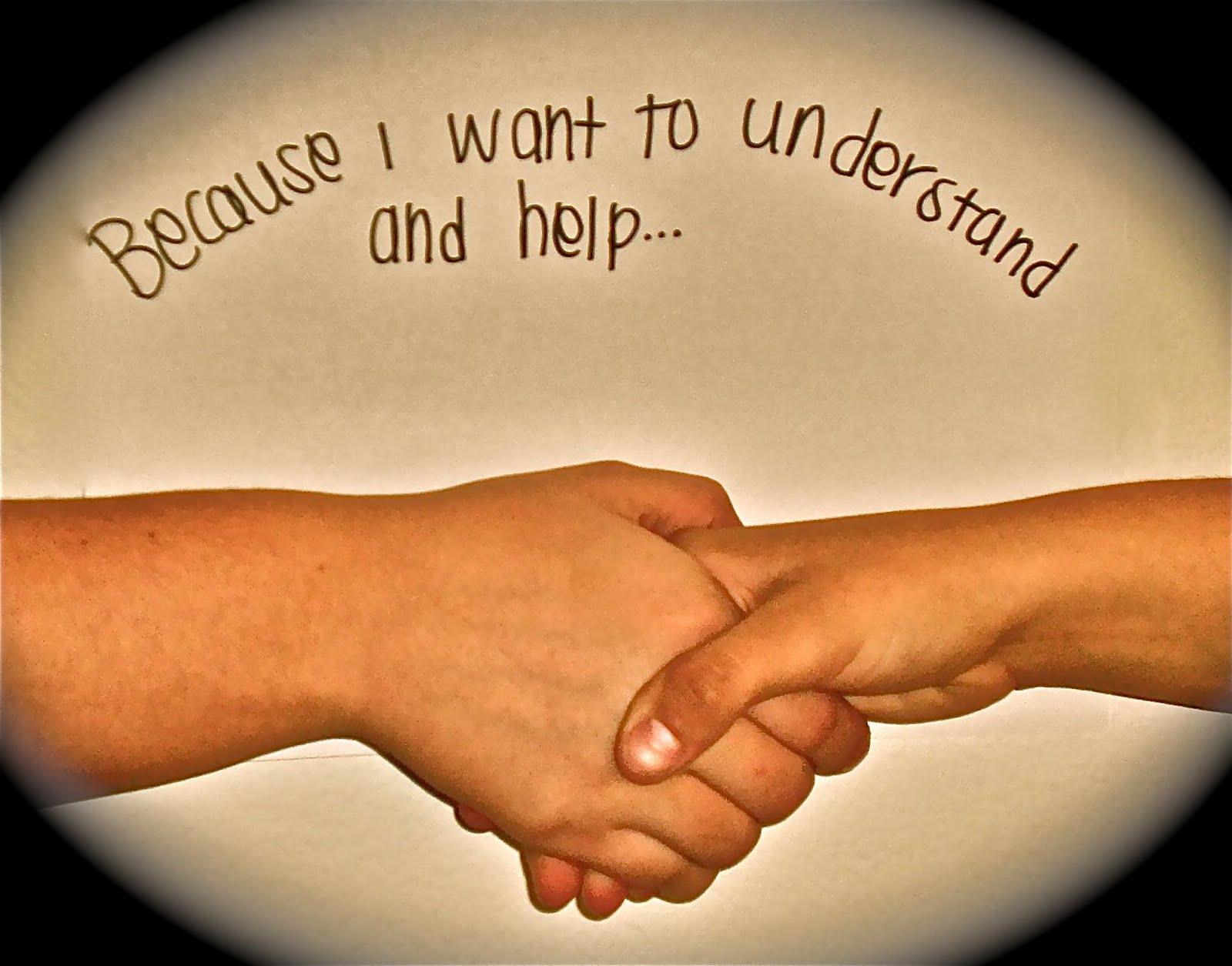 Noah's Miracle : 2011