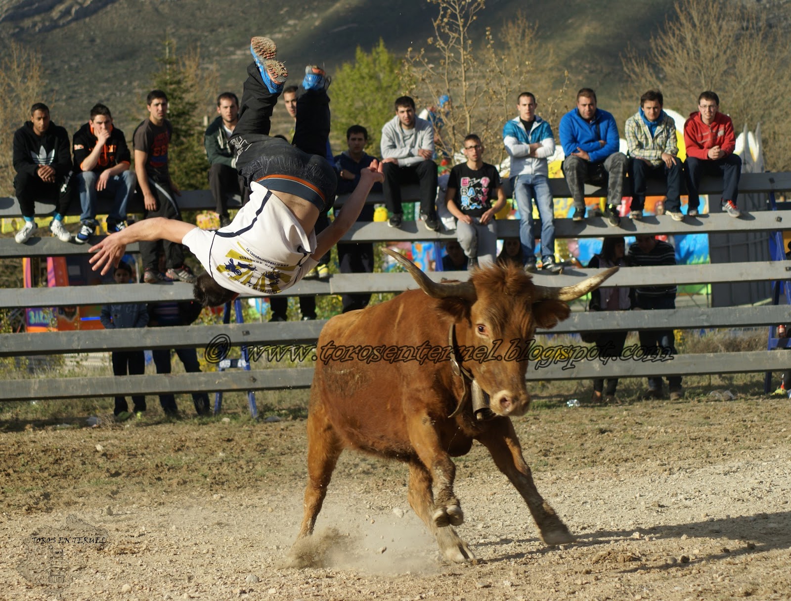 Toros en Teruel