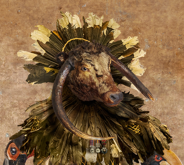 Paul Biddle Photographer