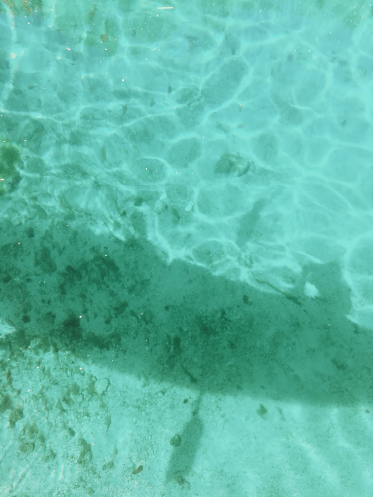 8 Things You Must Do In Tulum Travel Guide