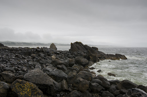 Yaquina Head Tide Pools: Yaquina Head Tide Pools - "Quarry Cove"