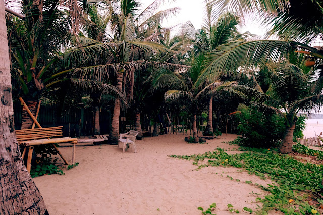 Travel Guide To Lola Sayong Eco-Surf Camp - From The Highest Peak to ...