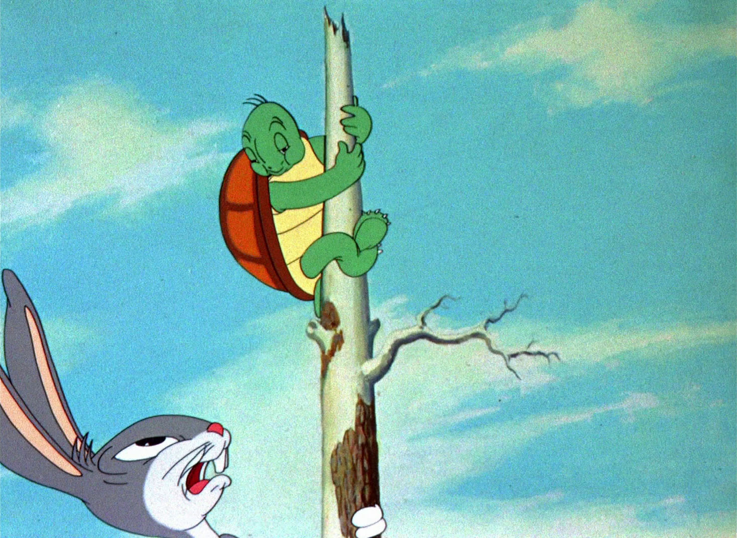 Tortoise Beats Hare - cartoon characters