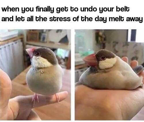 27+ Funny Memes Of The Day