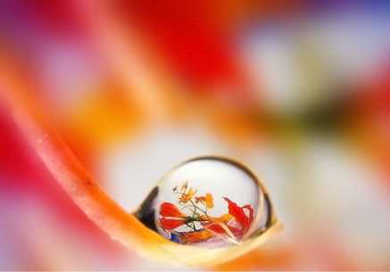 A WORLD INSIDE BRILLIANT COLORFUL RAINDROPS - My Xiting World