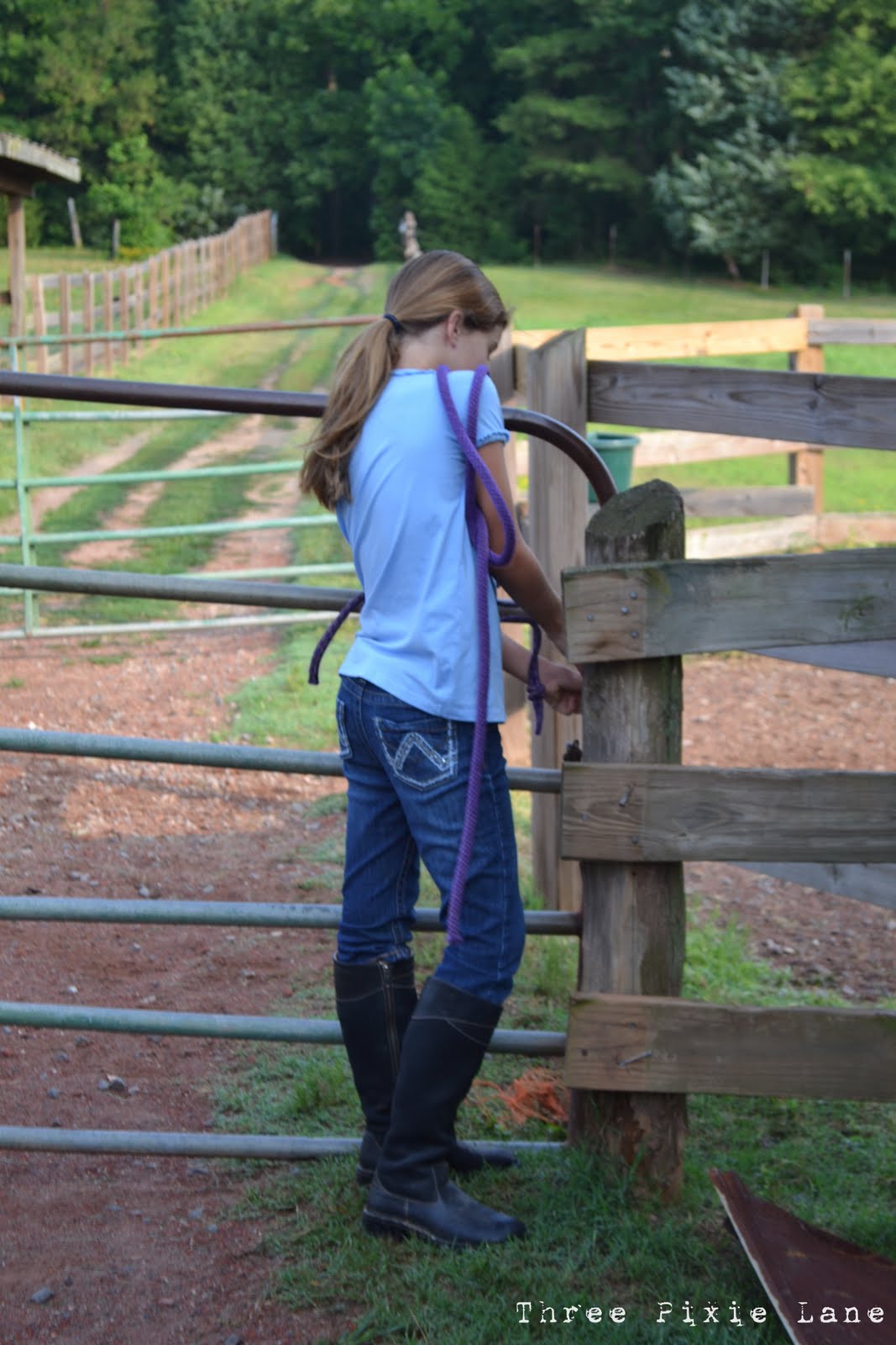 Three Pixie Lane: Country Living {Photography}