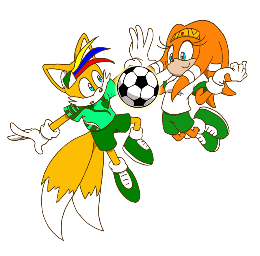 El blog the Camila the hedgehog: 18.- El partido de fútbol