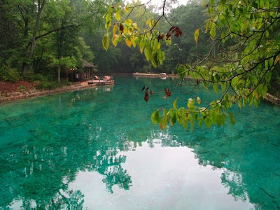 the collected business of marshall callaway: blue springs