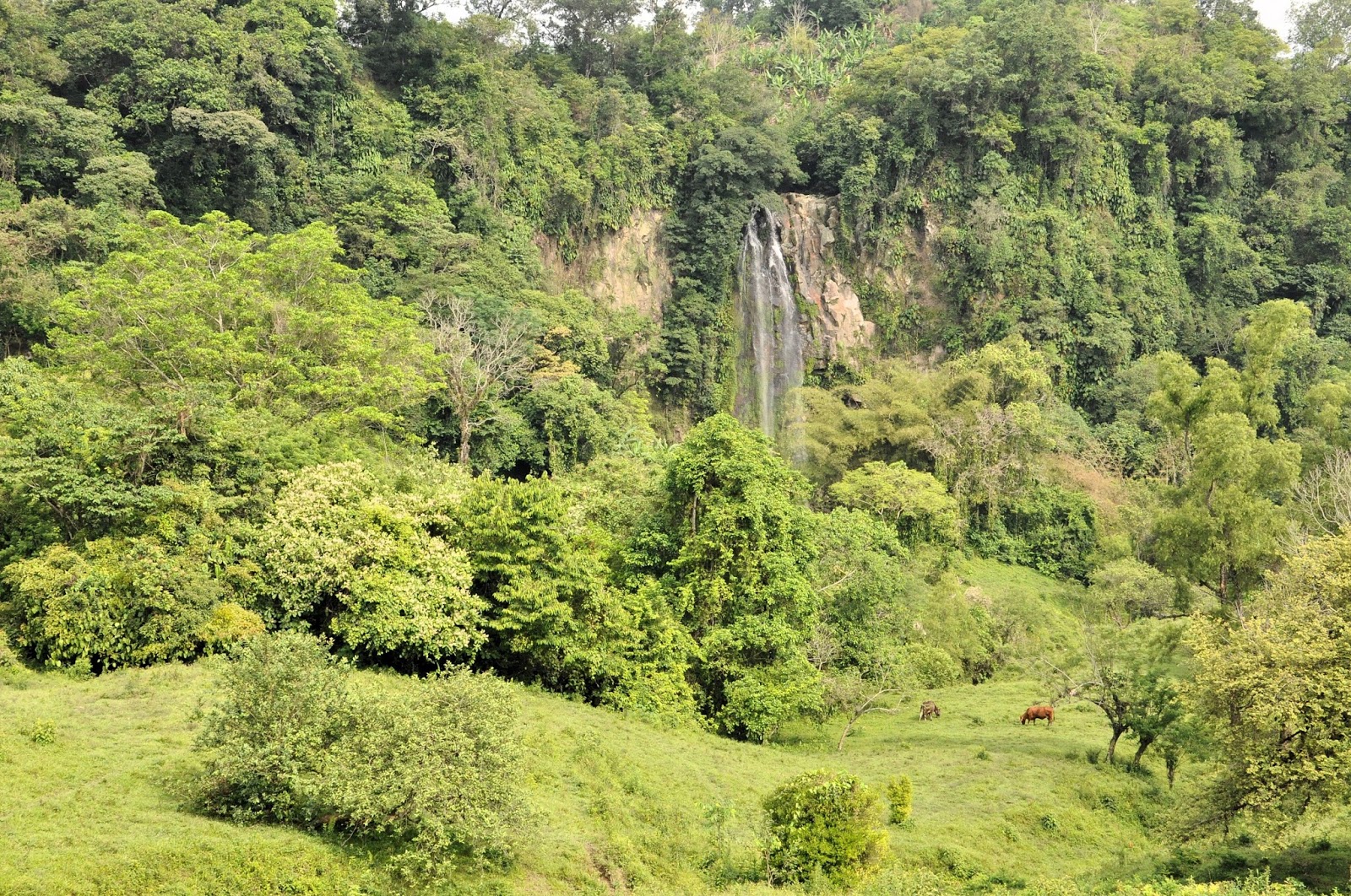 Unique Wallpaper: Zona Arqueológica "El Cuajilote" - Pirámides ...