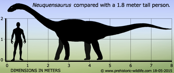 Extinct Animal of the Week: Seeing the Little Giant