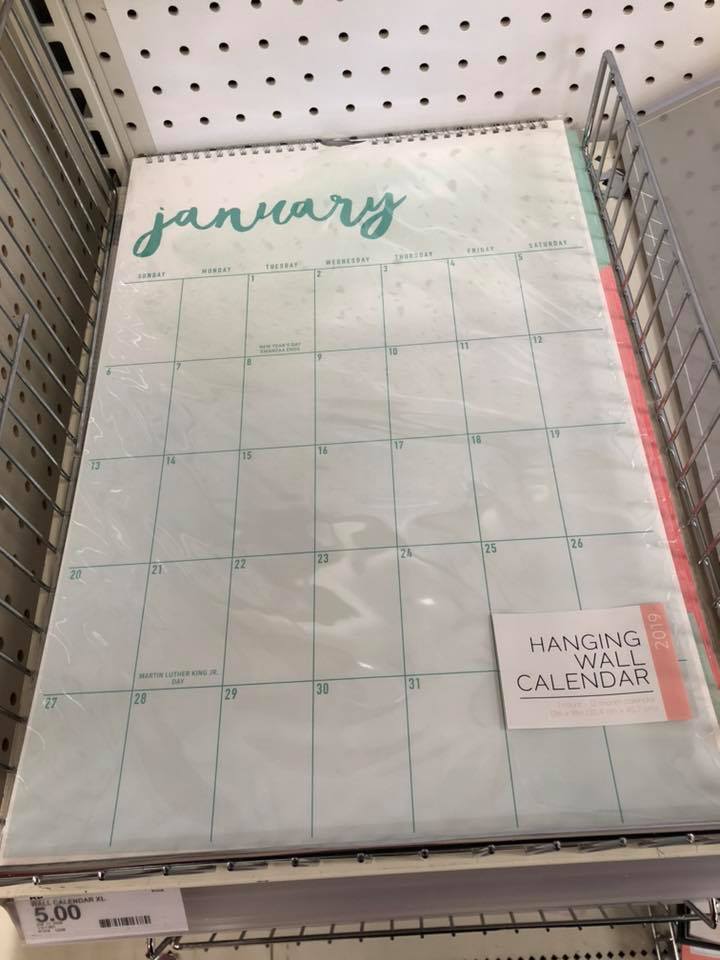 Life Inside the Page: Target: Bullseyes Playground - December 30, 2018