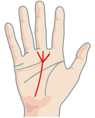 Fate Line (Career Line) |Palm reading Guide