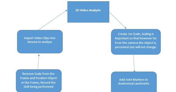 Biomechanics - Assessment 2 : Numerical Model - Methodology