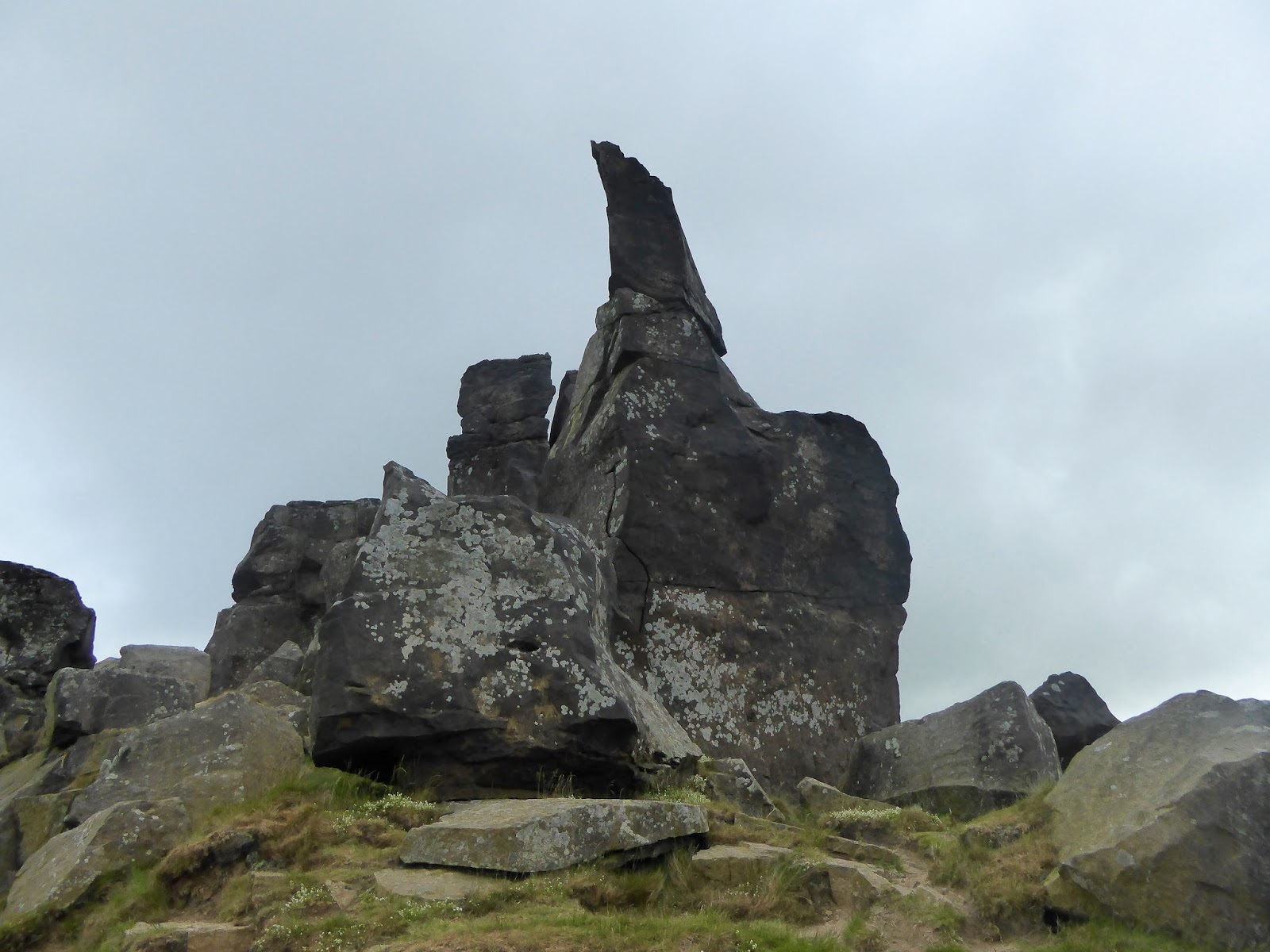 Jimmy Goanna Rides Again: Day 16: Dromonby Bridge to Blakely Ridge