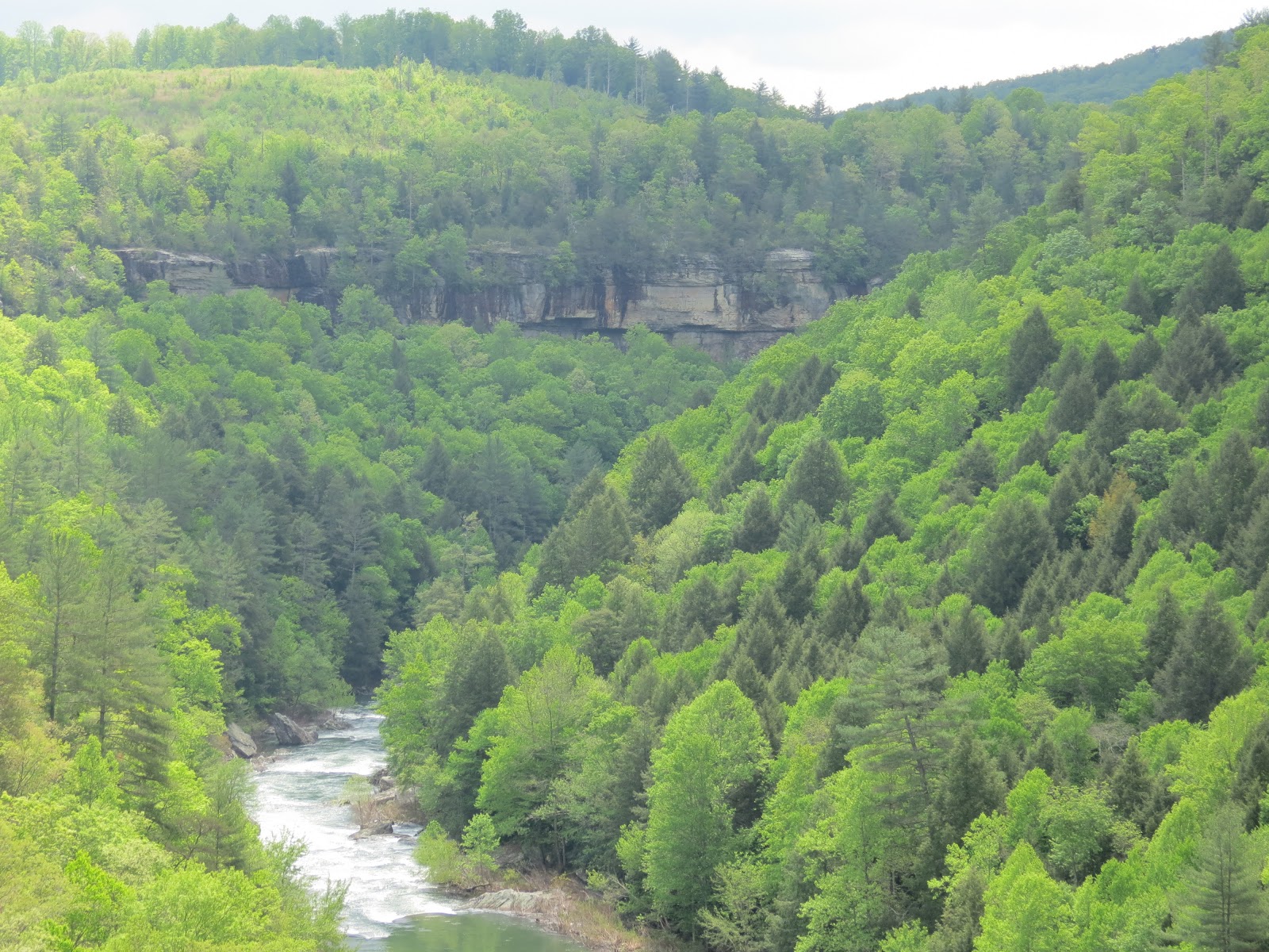 Where's Liz-2013?: Obed Wild and Scenic River National Park