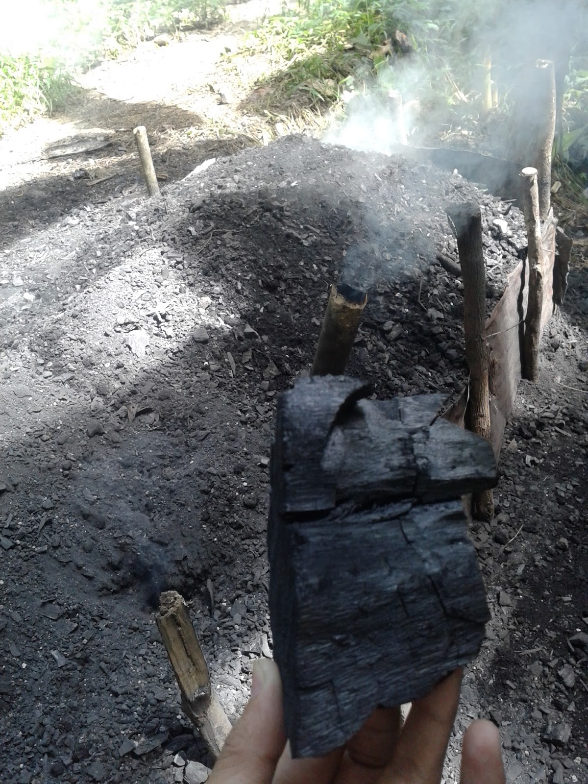 Alpiyadi: ARANG HALABAN