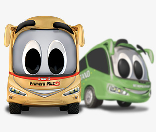 Conociendo a un Busito Verde