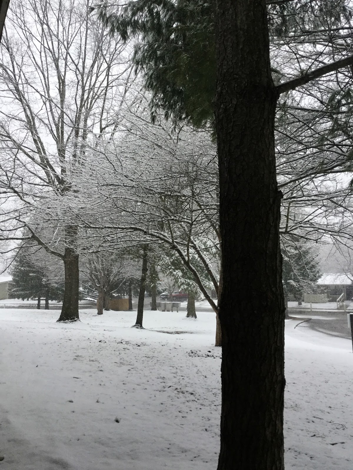 Burl's Weather Page: The first day of spring in Bloomington, Indiana.