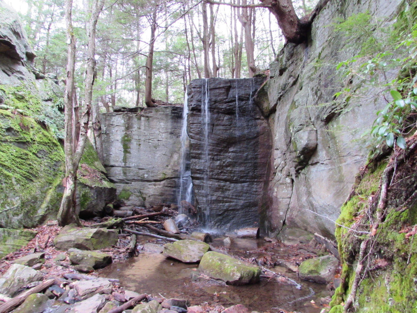 Hector Falls, Allegheny National Forest, Ludlow, Warren County, PA ...