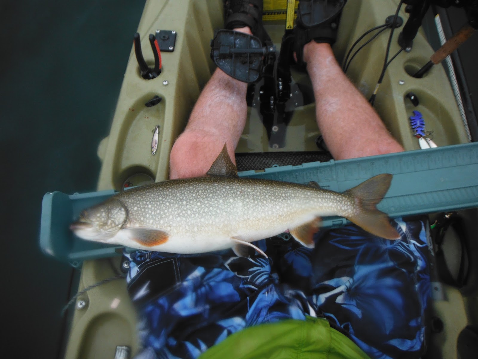Long Island Kayak Angler: Adirondack Trout Fishing