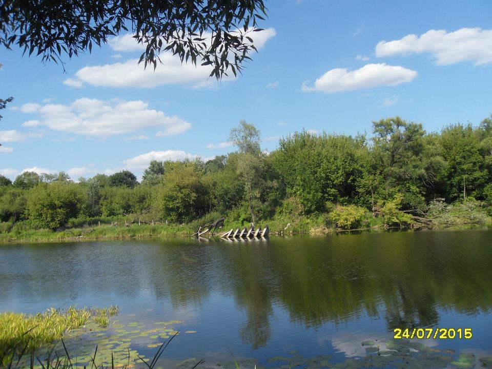 TERESPOL: KONOWICA, ROGATKA